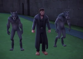 Werewolf army | Harry Potter Wiki | Fandom