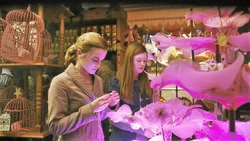 WonderWitch | Harry Potter Wiki | Fandom