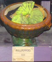 Zaubertrankzutat | Harry-Potter-Lexikon | Fandom