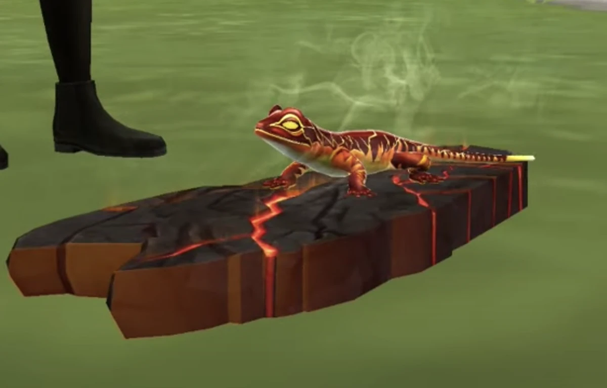 Enchanted heated rock | Harry Potter Wiki | Fandom