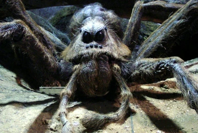 Hobbit Spiders