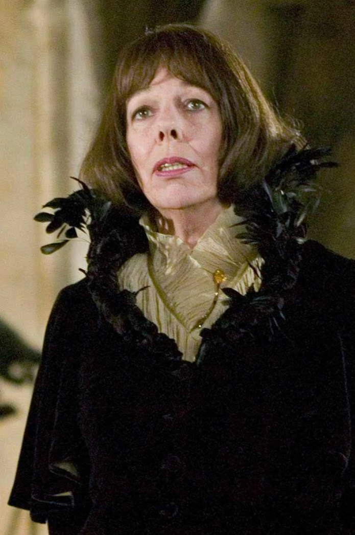 Catégorie:Directeur d'école | Wiki Harry Potter | Fandom