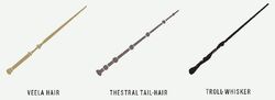Wand core | Harry Potter Wiki | Fandom
