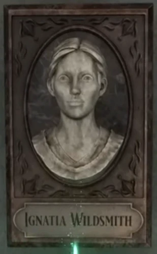 Floo Flames | Harry Potter Wiki | Fandom