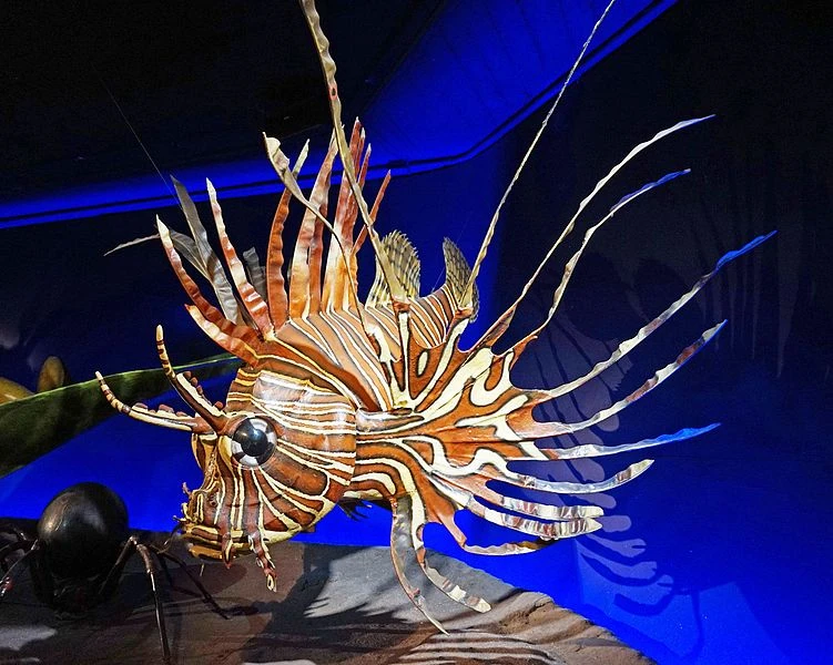 Löwenfisch | Harry-Potter-Lexikon | Fandom