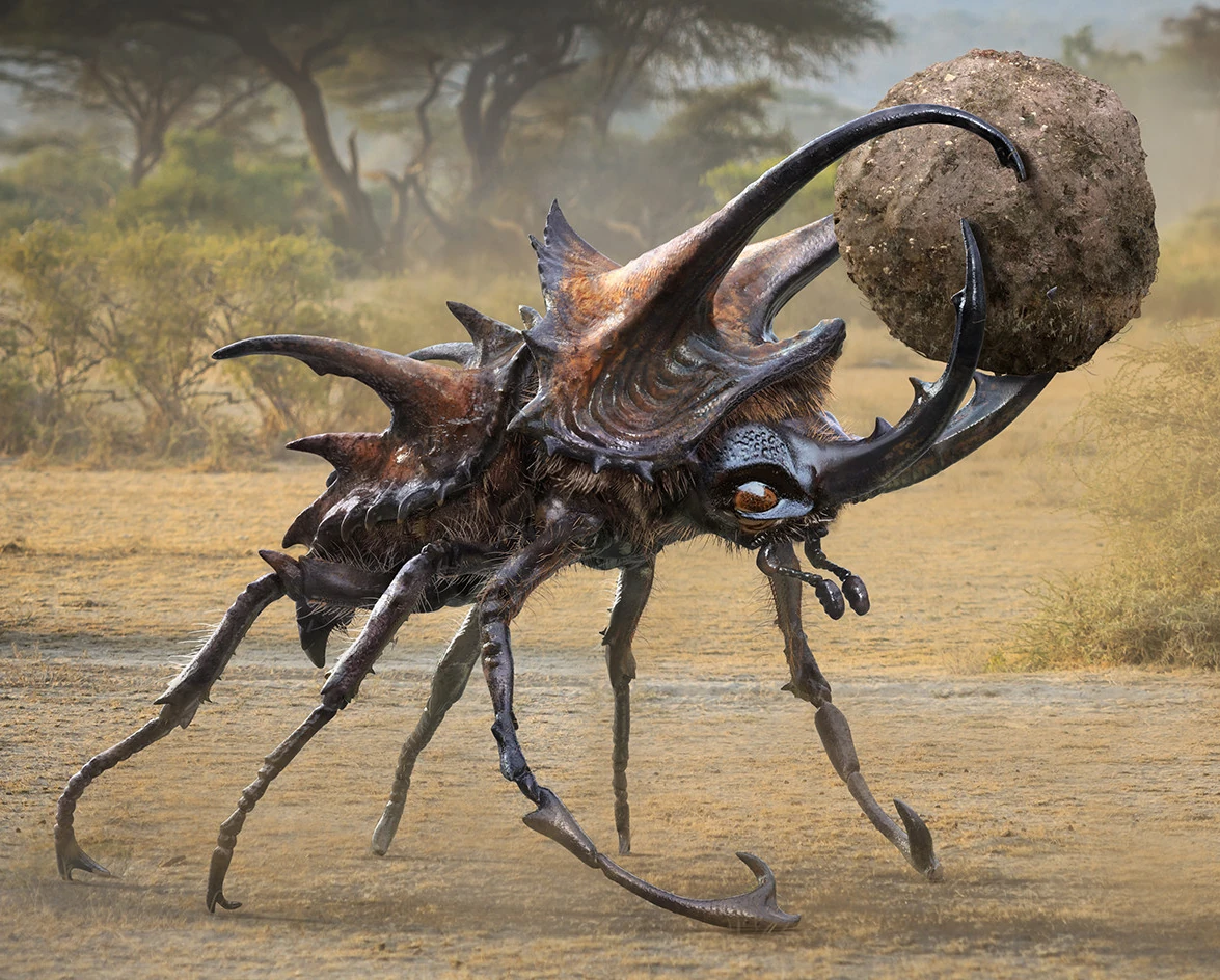 Bousier | Wiki Harry Potter | Fandom