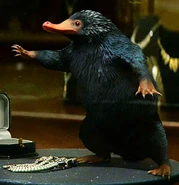 Snaso | Harry Potter Wiki | Fandom