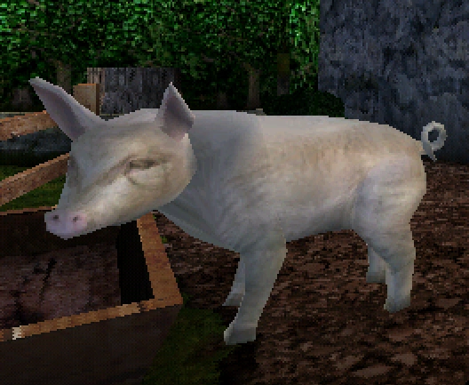 Pig | Harry Potter Wiki | Fandom