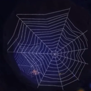 Cobweb | Harry Potter Wiki | Fandom