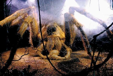 Aragog The Acromantula