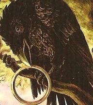 Raven | Harry Potter Wiki | Fandom