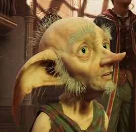 Deek | Harry Potter Wiki | Fandom