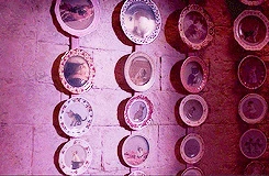 Frolicsome Feline plates | Harry Potter Wiki | Fandom