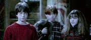Neville Paciock | Harry Potter Wiki | Fandom