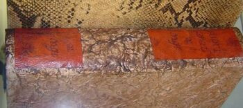 How to Tame Lions | Harry Potter Wiki | Fandom