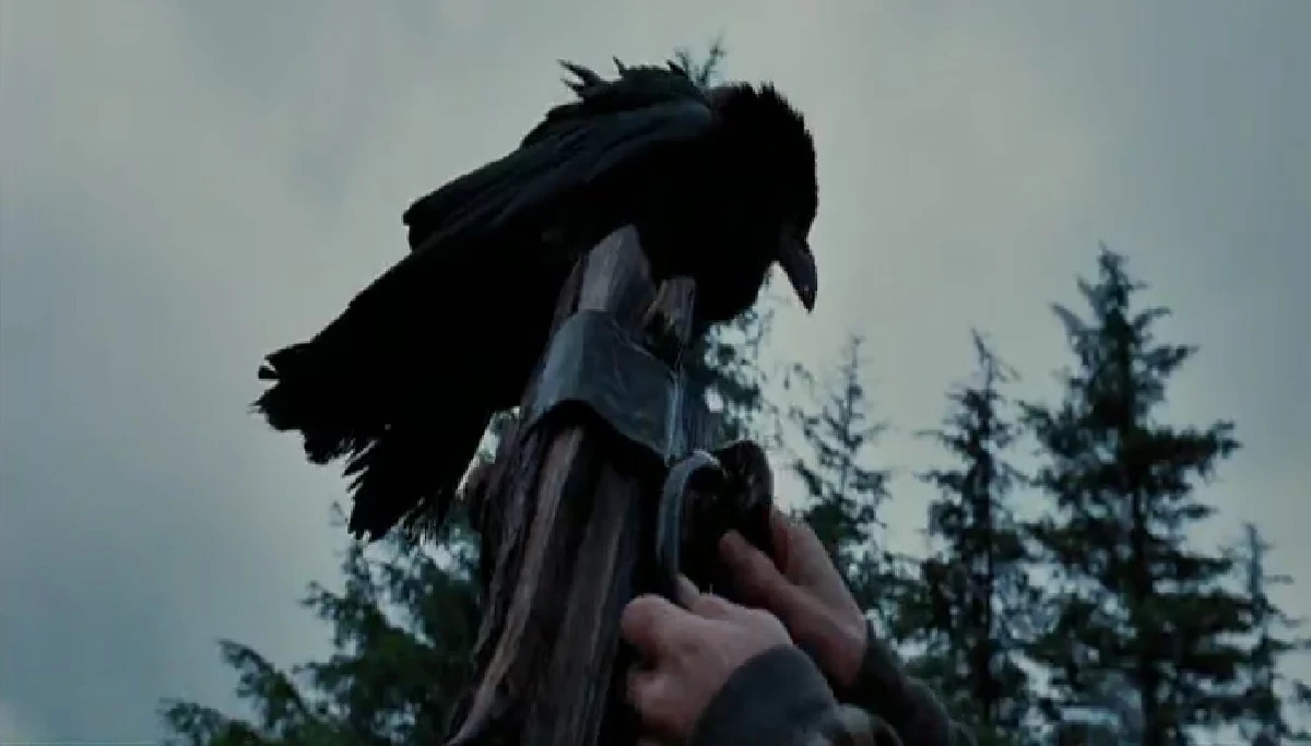 Crow | Harry Potter Wiki | Fandom