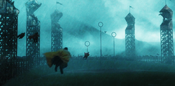 Hufflepuff Quidditch team | Harry Potter Wiki | Fandom