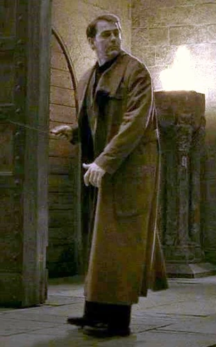 Unidentified male Auror at Hogwarts | Harry Potter Wiki | Fandom