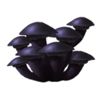 Grzyb | Harry Potter Wiki | Fandom