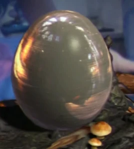 Occamy egg | Harry Potter Wiki | Fandom