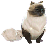 Cat | Harry Potter Wiki | Fandom