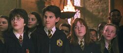 Duelling Club (1990s) | Harry Potter Wiki | Fandom
