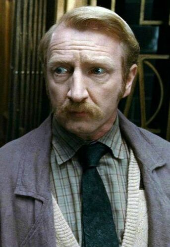 Reginald Cattermole | Harry Potter Wiki | Fandom