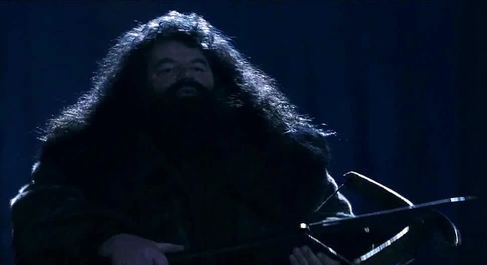 Crossbow | Harry Potter Wiki | Fandom