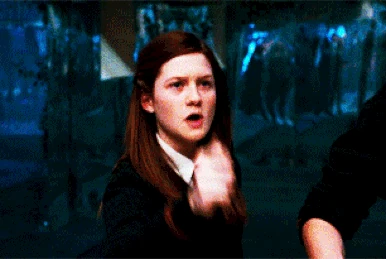 Impedimenta Harry Potter