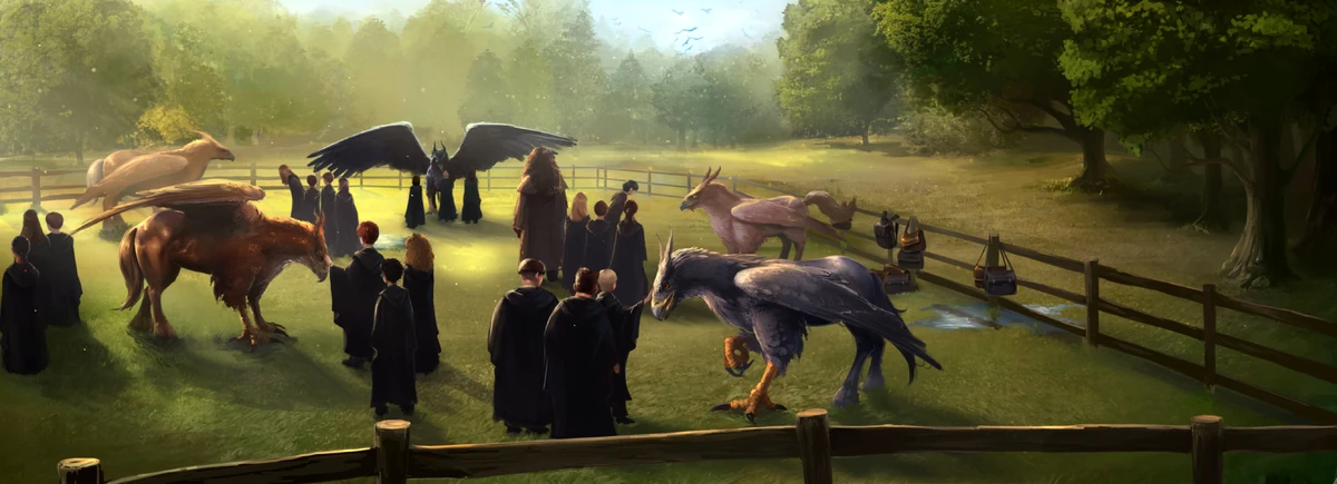 The Paddock | Harry Potter Wiki | Fandom