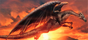 Harry potter 4 dragon names store