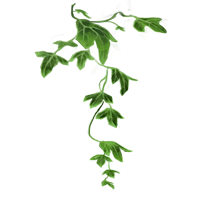 Giftefeu | Harry-Potter-Lexikon | Fandom