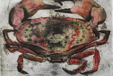 Clabbert Harry Potter