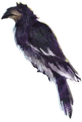 Hornbill | Harry Potter Wiki | Fandom