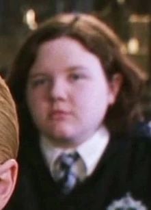 Millicent Bulstrode | Harry Potter Wiki | Fandom