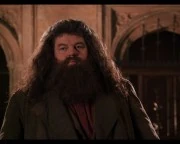 Rubeus Hagrid | Harry Potter Wiki | Fandom