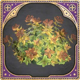 Malva | Harry Potter Wiki | Fandom