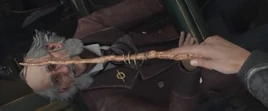 Dragon heartstring wand | Harry Potter Wiki | Fandom