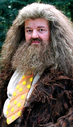 Rubeus Gygrid | Harry Potter | Fandom