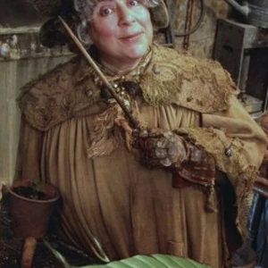 Discuss Everything About Harry Potter Wiki | Fandom