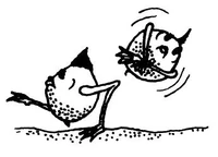 Plimpy | Harry Potter Wiki | Fandom