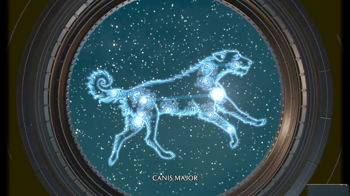 Canis Major | Harry Potter Wiki | Fandom