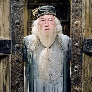 Albus Dumbledore | Harry Potter-wikin | Fandom