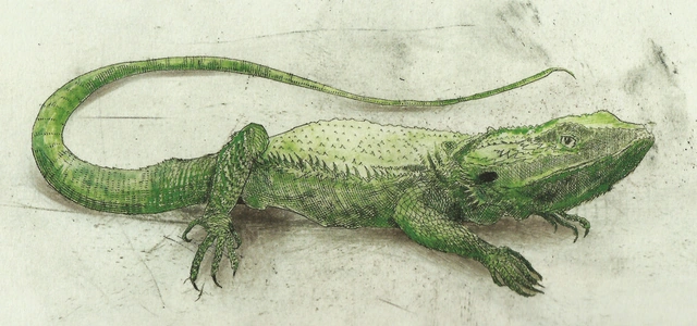 Briba | Harry Potter Wiki | Fandom