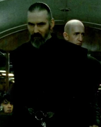 Selwyn | Harry Potter Wiki | Fandom