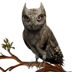 Eagle owl | Harry Potter Wiki | Fandom