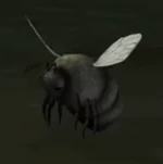 Glumbumble | Harry Potter Wiki | Fandom