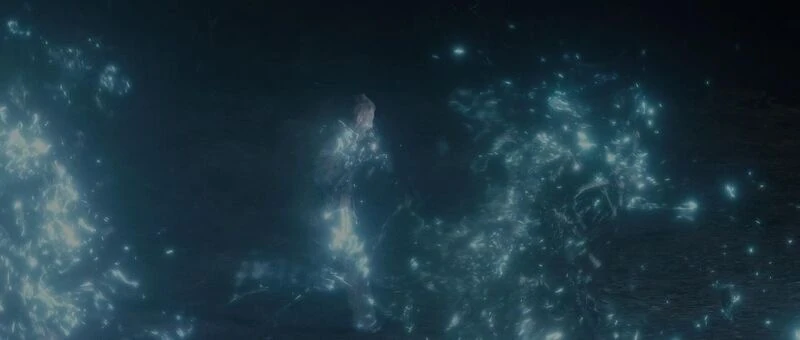 Repello Inimicum | Harry-Potter-Lexikon | Fandom