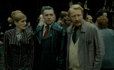 Mafalda Hopkirk | Harry Potter Wiki | Fandom