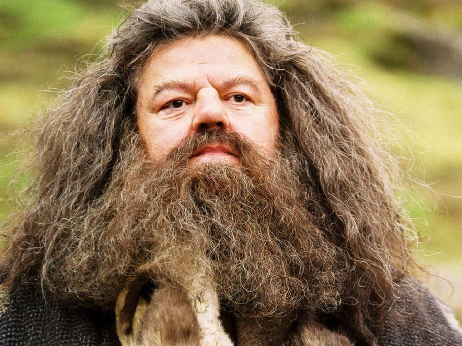 Rubeus Hagrid Harry Potter Wiki Fandom
